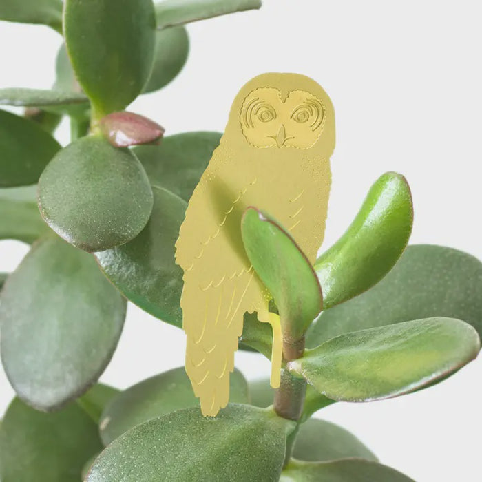 Plant Animal - Owl | Pretty Shiny Shop
